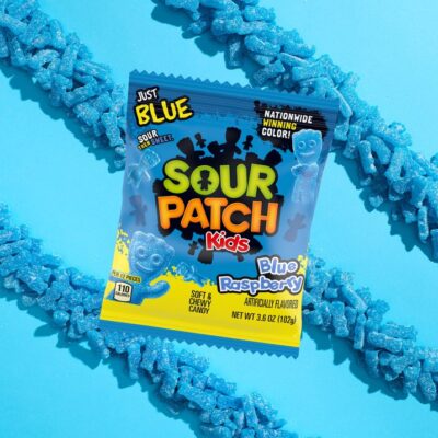 SOUR PATCH KIDS BLUE RASPBERRY SOFT CHEWY CANDY PEGGABLE BAG 12/3.6 OZ ...