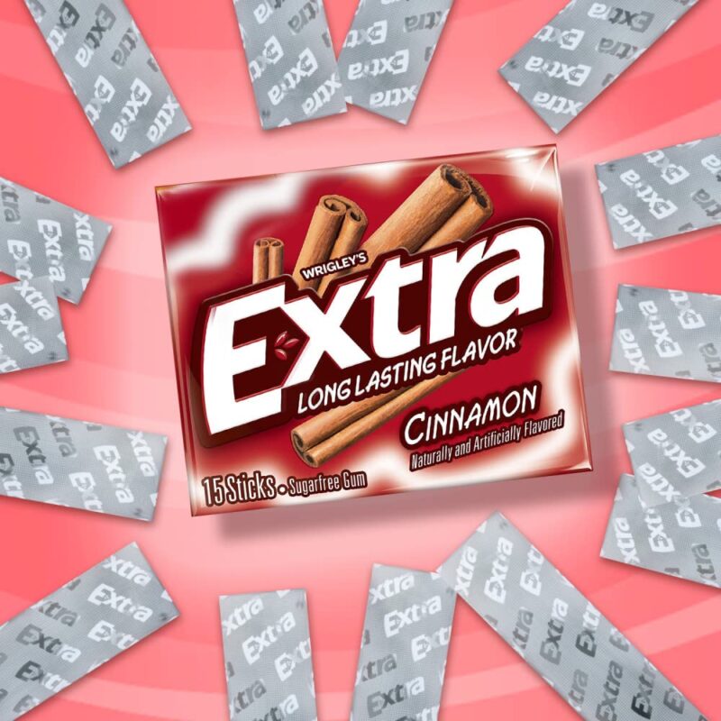 EXTRA GUM CINNAMON LONG LASTING CHEWING GUM 10/15 STICKS – USA Concession